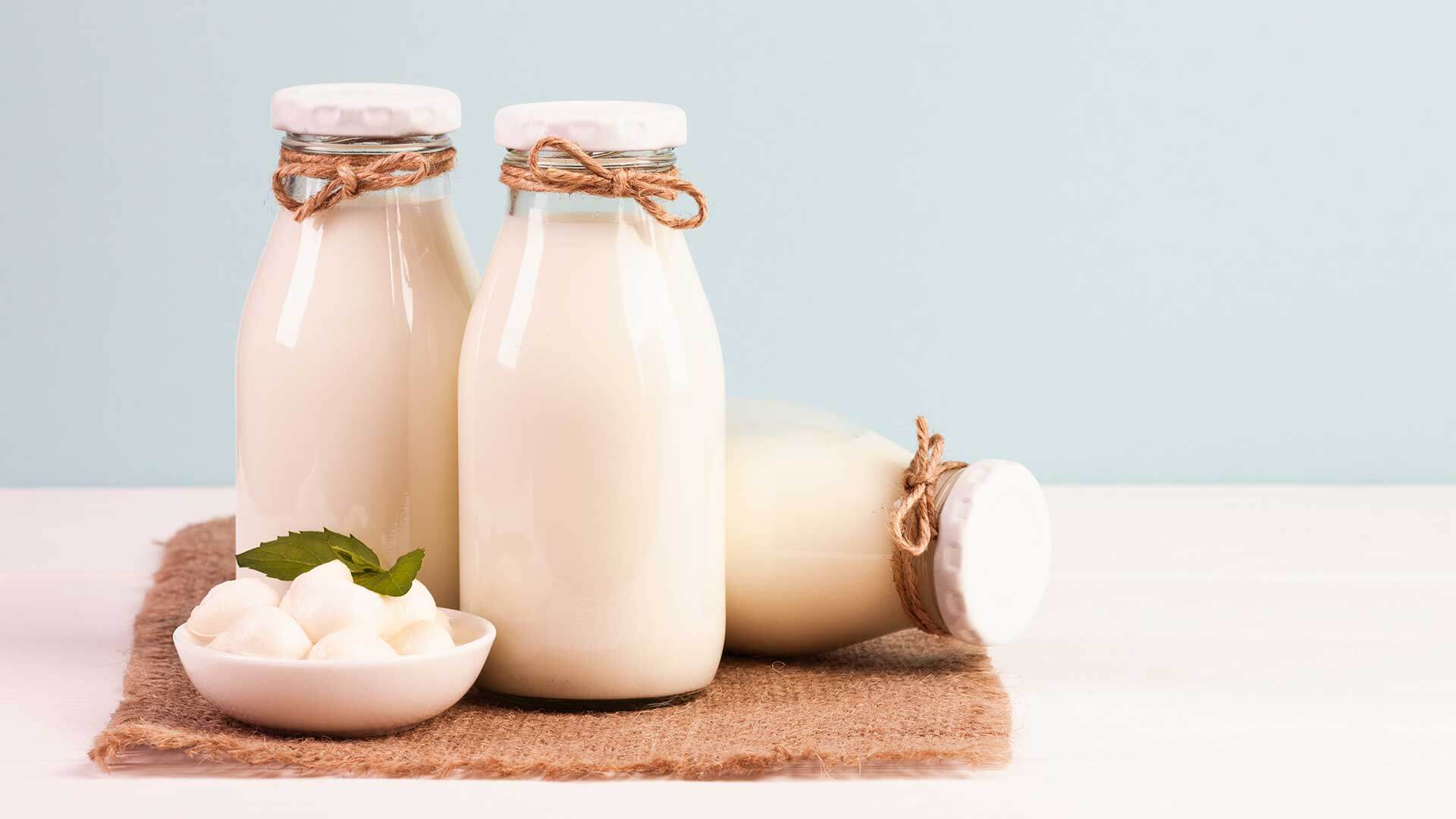 Conheça as diferenças entre teste de tolerância à lactose • LabVital